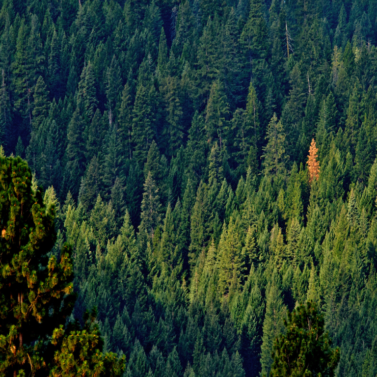 LP Welcomes Flanigan-Leavitt & Quincy to Team - LP Insurance